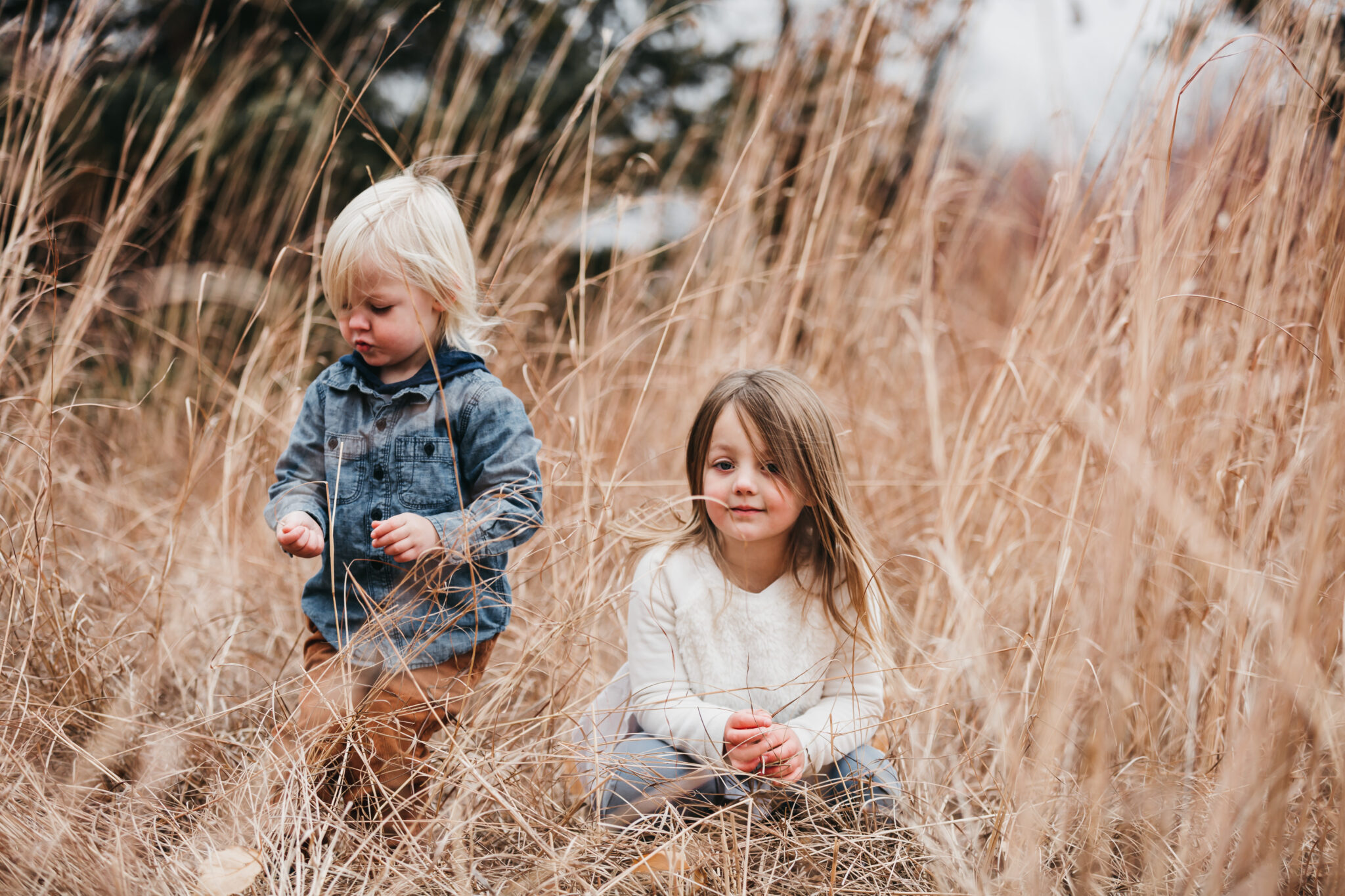 Family Photos in Henteleff Park - newcopperphotography.ca